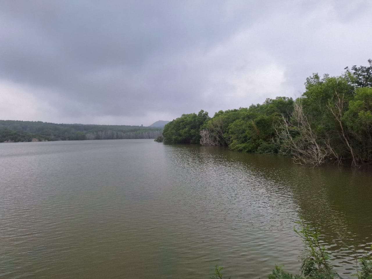 Blog - Page 22 Of 46 - Tirumala Tirupati Yatra